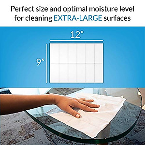 iCloth Screen Cleaning Wipes [10 Screen & Lens Cleaning Wipes - Extra Large] Safe for All Screens, Pro-Grade, Individually Wrapped, 1 Screen Cleaner Can Clean Several Flat Screen TV's and Monitors