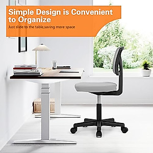 NEWBULIG Ergonomic Armless Home Office Desk Chair with Lumbar Support for Space Swivel 360° Wheels Adjustable Lever Rolling for Tiny Apartment,Conference Room, Grey