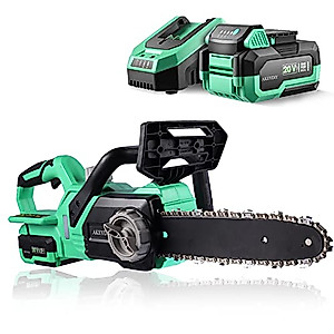 DREAMVAN Cordless Chainsaw, 20V Battery Powered Chainsaw, 10'' Battery Chainsaw with 4.0Ah Lithium Battery & Fast Charger, Electric Chainsaw for Trees Pruning, Wood Cutting, Farm/Garden