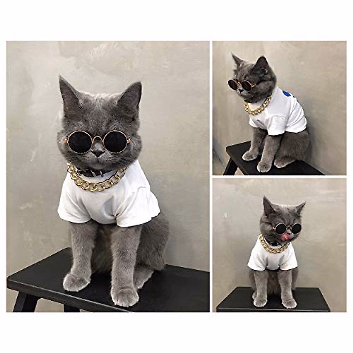 DS. DISTINCTIVE STYLE Retro Round Sunglasses with Golden Plastic Chain for Pet Cats and Small Dogs Cool and Funny Spectacles Pets Photo Props for Taking Pictures