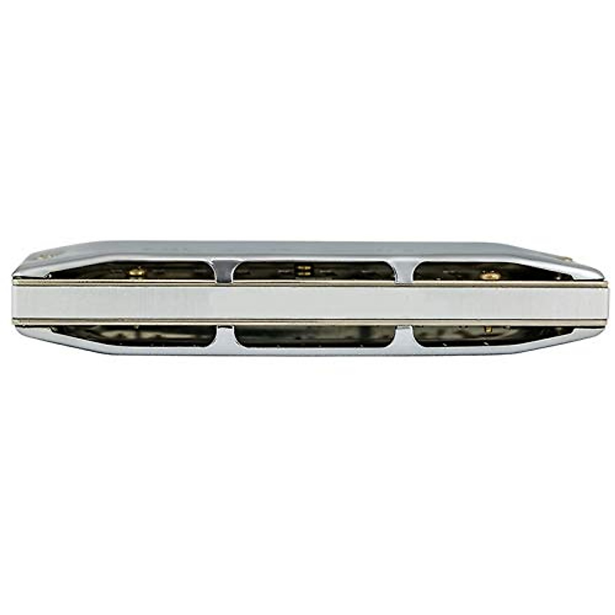 WAAZVXS 580/20 Diatonic Harmonica for MS Series Diatonic 10 Holes Mouth Organ Key C Musical Instruments Armonica Blues (Color : Key F)