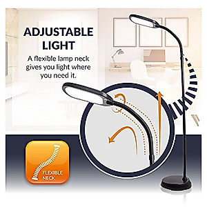 Newhouse Lighting NHFL-AP-BK Apollo LED Floor Lamp Energy-Efficient Natural Reading Artists Crafts Adjustable Gooseneck Task Light, Black