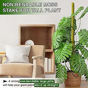 DUSPRO 59’’ Inches Large Moss Pole for Plants Monstera, Tall Indoor Plant Stake Support for Big Climbing Pothos Long Handmade Forest Moss Totem/Giant Trellis (Extra Large Size)