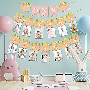 Pumpkin First Birthday Girl 12 Month Photo Banner for First Birthday Our Little Pumpkin is Turning One Decorations Pumpkin Birthday Decorations Girl