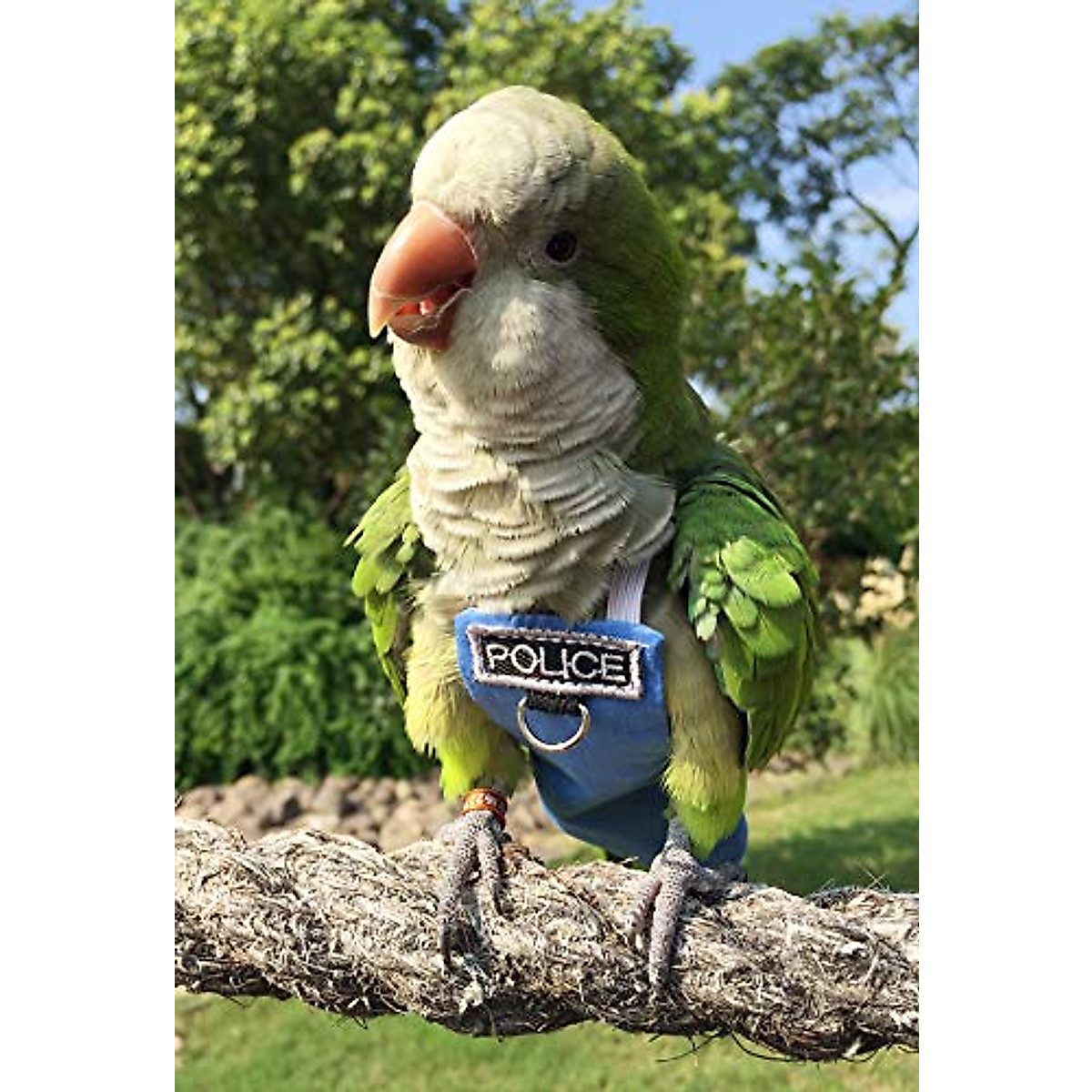 HEZHUO Bird Clothes Parrot Diapers Bird Flight Suits, Reusable Waterproof Diapers pet Bird Supplies Poli (M)