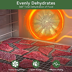 Dehydrators for Jerky, 10 Trays Stainless Steel Meat Dehydrator, 194℉ Temp Control & Digital Timer, 600W Fruit Dehydrator, Food Dehydrator for Jerky, Dog Treats, Mushroom, Veggies, Fruit