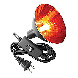 Mini Halogen 25w Red Basking & Night Time Bulb for Reptiles- 3 Bulb Value Pack