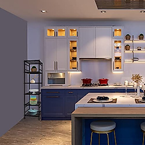 6-Wire Shelving Metal Storage Rack Shelves, Standing Storage Shelf Units for Laundry Bathroom Kitchen Pantry Closet(Black)