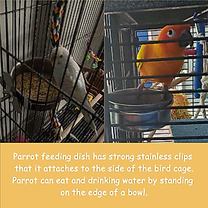 kathson Stainless Steel Bowls for Birds,4 Pcs Parrot Feeder Dish Cups,Bird Cage Water Food Bowl Coop Cup with Clamp Holder for Parrots Cockatiel Budgies Parakeet Lovebird(S)