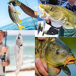 Pyramid Sinkers Fishing Weights Fishing Sinker, Saltwater Fishing Weights Sinkers for Saltwater Surf Fishing Gear Tackle 1oz 2oz 3oz