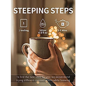 TeeLux Green Tea Bags, Natural Pure Green Tea, Super Antioxidant, Caffeinated, 100 Count Tea Bags to Support Overall Health