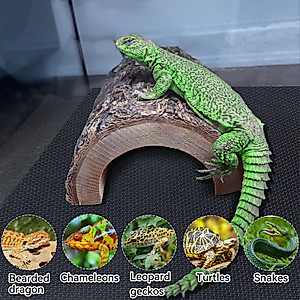 MEWTOGO Reptile Carpet, Bearded Dragon Tank Accessories, Reptile Terrarium Carpet Substrate, Non-Adhesive Durable Reptile Mat for Leopard Gecko Lizard Snake Tortoise, 17'' x 39''