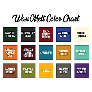 All-Natural Soy Wax Melts | Gift Ideas