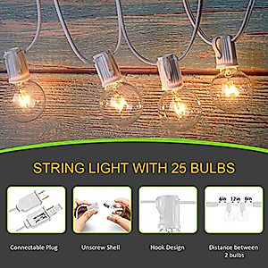 Pallerina 25FT G40 Outdoor String Lights with 27 Globe Clear Bulbs(2 Spare) Patio String Lights Outdoor Waterproof for Party Wedding Garden Commercial Decoration, 5 Watt Bulbs E12 Base- White Wire