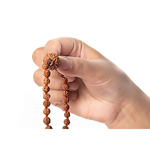 Wonder Care Original Nepali Rudraksha Bead and Rudraksha Mukhi Mala Natural Rudra Religious Rosary Beads Japa Mala Rudraksha for Men and Women
