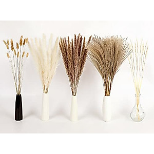 Dolicer 80 Pcs Dried Pampas Grass, 17'' Pampas Grass Decor, Natural Pampas Boho Flowers Bouquet White Pampas Grass Brown Pampas Reed Pampas Bunny Tail Boho Decor for Home Wedding Farmhouse