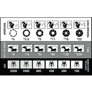 (2 Pack) DSLR/mirrorless Photography Cheat Sheets Credit Card Size Reference Card Fits in Pocket/Wallet/Camera Bag. Aperture, Shutter Speed, Exposure Triangle & Manual Mode, for Canon, Sony & Nikon