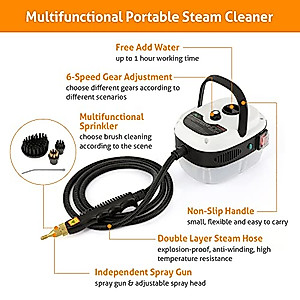 WICHEMI Steam Cleaner Steamer for Cleaning, 2500W High Pressure Steam Machine High Temperature Handheld Steamer for Car Detailing Portable Steam Cleaning Machine for Home Use Auto Detailing Kitchen