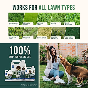 PetraMax Blue Herbicide Lawn Dye - Super Strength Concentrate 3X More Than Others, for Herbicides, Fertilizer & Weed Killer - Blue Mark Spray Indicator for Home and Commercial Sprayer Use (32 oz)