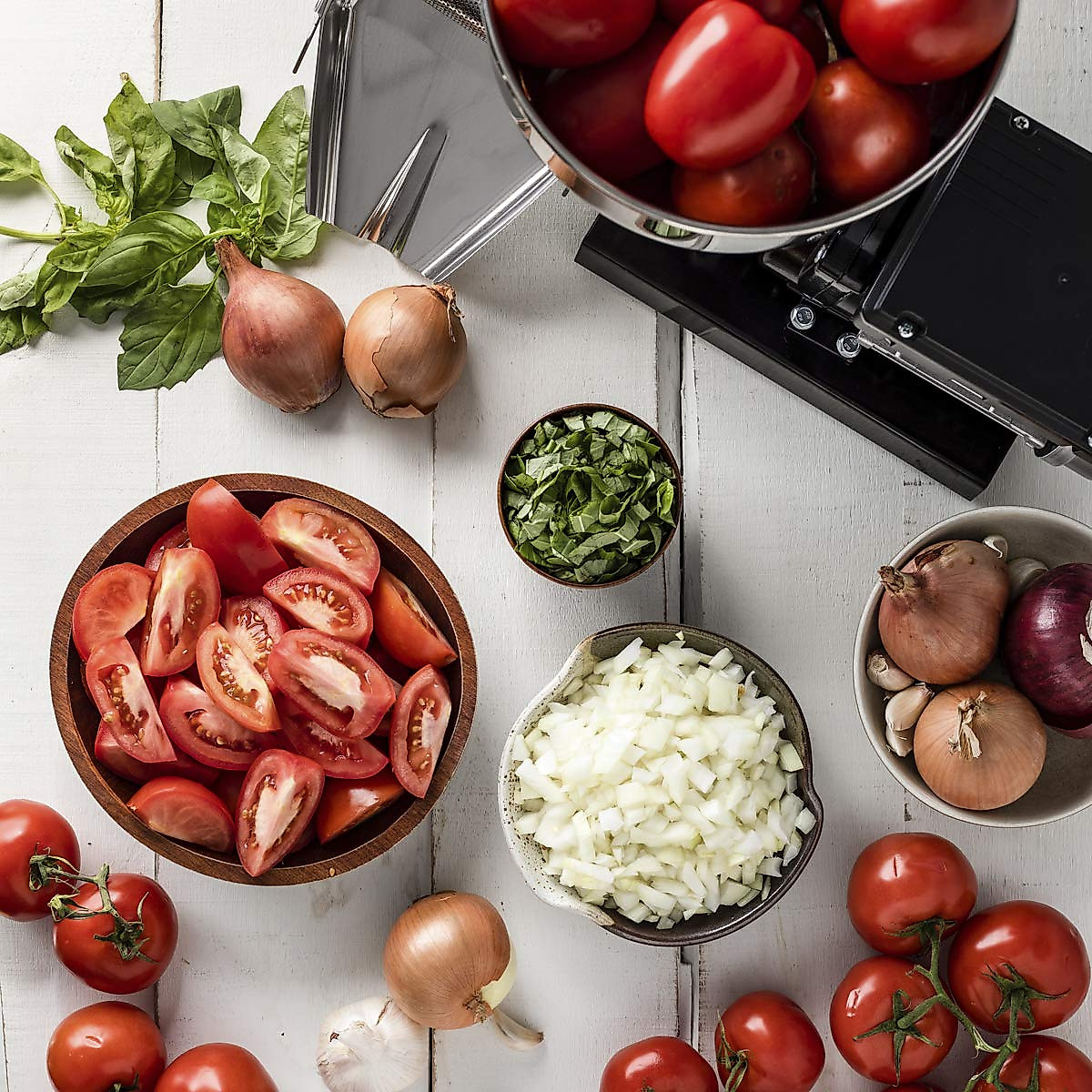 Raw Rutes - Electric Tomato Strainer Machine - Made in Italy - Perfect for Canning Tomato Purees, Sauces and More! (No. 3)