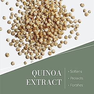 Leonor Greyl Paris - Shampooing Reviviscence Travel Size - Specific Shampoo For Dehydrated, Damaged And Brittle Hair - Natural Shampoo for Fragile Hair, TSA Approved (1.7 Oz)