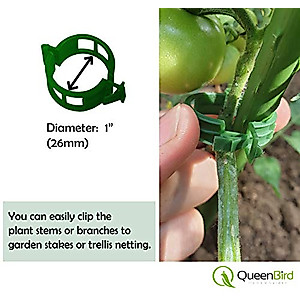 QueenBird Plant Clips - 200 PCS - Green - Garden Clips for Tomato and Other Vine Plants - Trellis Clips - Tomato Plant Support - Upright and Healthier Grow