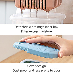 Food Storage Containers with Lids Fridge Berry Storage Container with Lid/Strainer Fresh Produce Saver Keeper for Scallion Ginger Garlic Vegetable Fruit Meat Lettuce