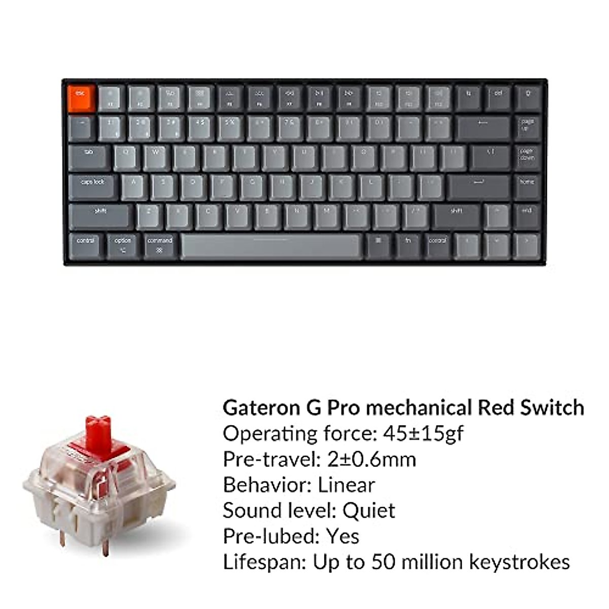 Keychron K2 75% Layout RGB Bluetooth Wireless Mechanical Keyboard with Gateron G Pro Red Switch/Anti Ghosting/N-Key Rollover, Compact 84 Keys USB Wired Gaming Keyboard for Mac Windows-Version 2