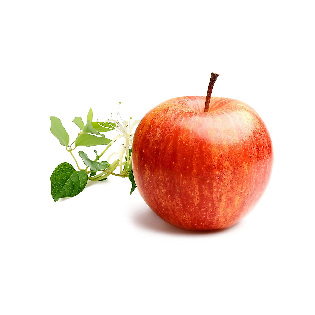 Derek Lam 10 Crosby Drunk on Youth for Women - 3 Pc Gift Set 3.4oz EDP Spray, 10ml EDP Spray, 8oz Fragrance Mist (I0094200)