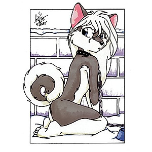 The American Journal of Anthropomorphics: January 1997, Issue No. 4