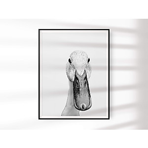 Black and White Cute Female Duck Portrait Print | Farm Animal Art For Children's Nursery | Rustic Farmhouse Duckling Kitchen Art | Country Home Wall Decor | 11x14 Ready to Frame | Bathroom Wall Art