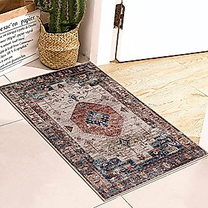 Falflor Area Rug 2'x 3' Vintage Distressed Entryway Rug Non Slip Indoor Door Mat Washable Throw Rug for Bedroom Low Pile Kitchen Floor Mat for Living Room Bathroom Laundry