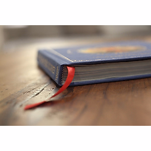 Little Pilgrim's Big Journey: John Bunyan's Pilgrim's Progress Fully Illustrated & Adapted for Kids