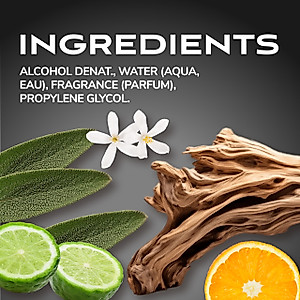 BOD Man Fragrance Body Spray, Black, 8 fl oz (Pack of 2)