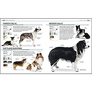 The Complete Dog Breed Book, New Edition (DK Definitive Pet Breed Guides)