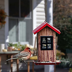 BOXCASA Suction Cup Hooks Pack,Hanging Chain with Adhesive Hooks and Suction Cup Hooks for Stained Glass Window Hangings,Suncatchers,Kitchen,Windows, Tiles,4 Pieces 8 Inch and 2 Pieces 24 Inch Pack