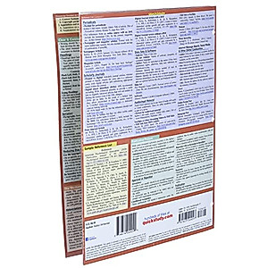 APA Guidelines: A Quickstudy Reference Guide