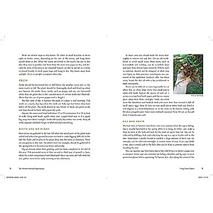 The Modern Herbal Dispensatory: A Medicine-Making Guide