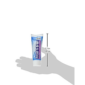 Fresh 'n Brite Denture Cleaning Paste, 3.8 Ounce (Pack of 2)