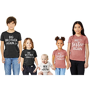 Teeny Fox Big Brother Again Sister Finally New to Crew Sibling Announcement T-Shirt
