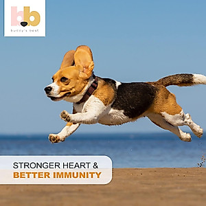 Buddy's Best Salmon Oil for Dogs 1 Gallon (128 Oz) Pump Bottle 100% Pure Norwegian Virtually Odorless Fish Oil