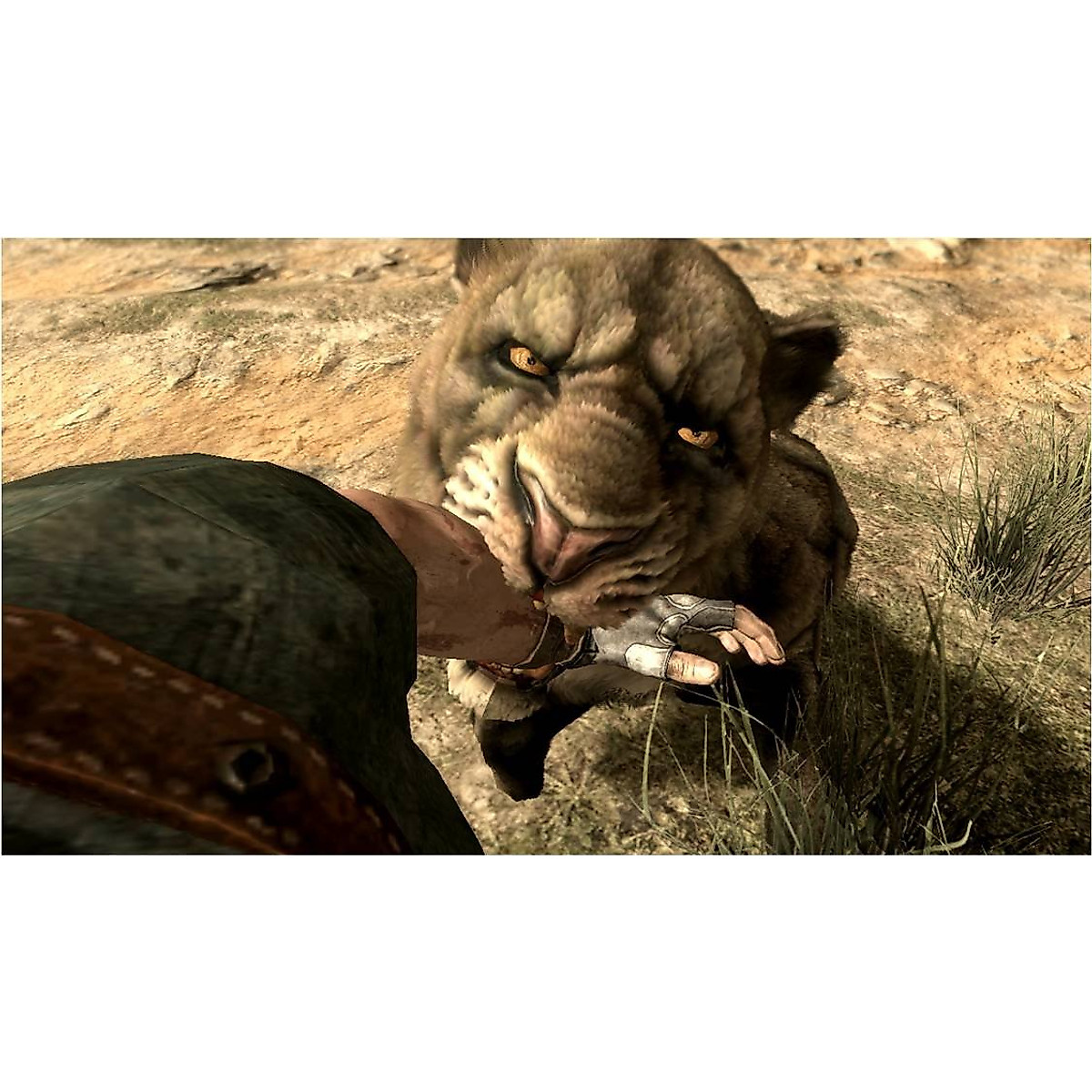 Cabela's Dangerous Hunts 2011 Special Edition