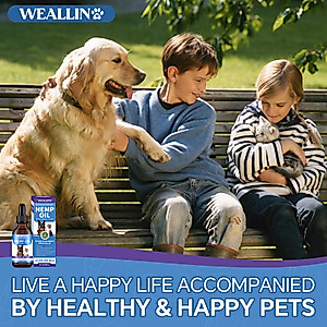 WEALLIN Hemp Oil for Dogs and Cats, Rich in Omega 3, 6, 9 and Organic Extract Helps Pets with Anxiety, Pain, Skin and Coat Health, Stress, Hip and Joint Support, Pet's Calming Treat (1 Pack)