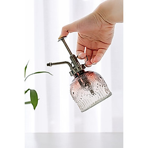 Glass Plant Mister Spray Bottle, 6.3inch Tall Vintage Plant Spritzer Watering Can, Succulent Watering Bottle with Top Pump, Plant Mister Glass Watering Garden Tool (Brown Clear Gradient)