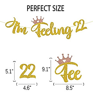 I'm Feeling 22 Gold Banner, Fun Happy 22nd Birthday Sign, Cheers to 22 Years, 22nd Party Decoration Supplies