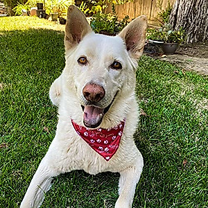Odi Style Mother's Day Dog Bandana - 2 Pack Mother's Day Hearth Dog Bandanas for Small, Medium, Large Dogs, Puppy Accessories, Handkerchief with Hearth and Paw Prints, Red and White Scarfs