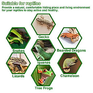 kathson Reptile Corner Branch Tank Habitat Decorations Bearded Dragons Plants Hanging Plastic Fake Climbing Terrarium Plant Decor for Amphibian Lizards Crested Gecko Snake Hermit Crab Frogs 3Pcs