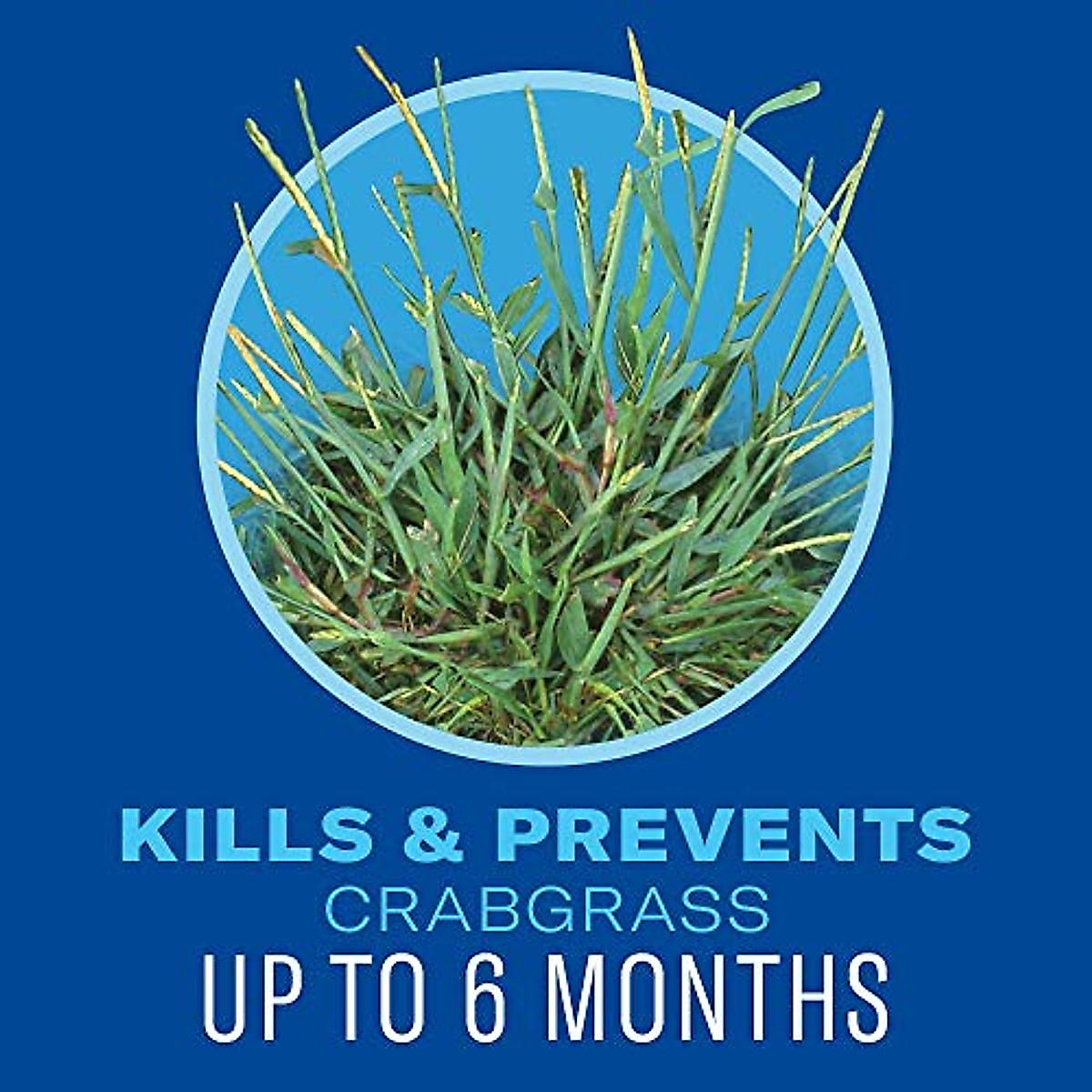 BioAdvanced 5 In 1 Weed and Feed, Granules, 9.6LB