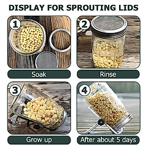 6 Pack Seed Sprouting Jar Lids: for 3.4"(86mm) Regular Mouth Mason Jars Fresh Sprouts at Home | Strainer Screen for Canning Jars | 304 Stainless Steel Lid for Growing Broccoli, Alfalfa, Beans & More