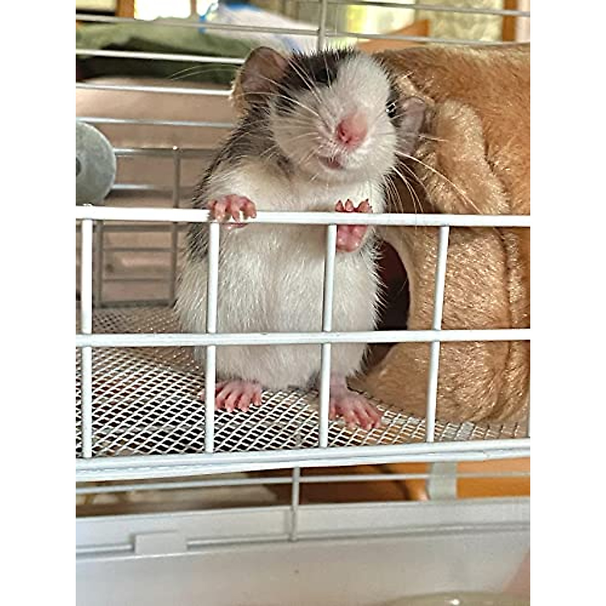 WOLEDOE Rat Cage Platform, All-Metal Basket Chew-Proof Design, Chinchilla Toys and Cage Accessories Ledge Ramp fit Ferret, Guinea Pig, Sugar Glider